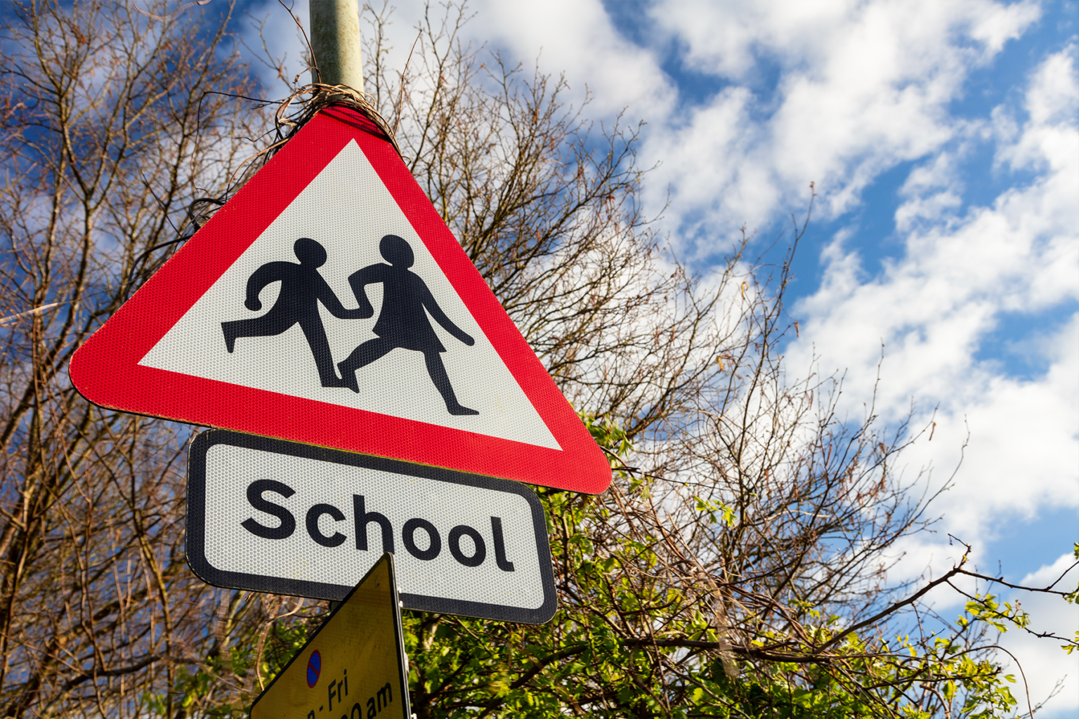 New Education Estates Strategy: a decade of national renewal – Buying ...